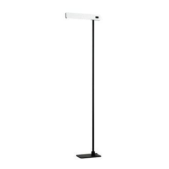 Figaro Lighting